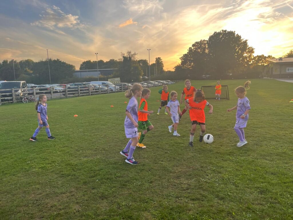 Lionesses – Runcorn Linnets Juniors Football Club – Halton Sports Centre